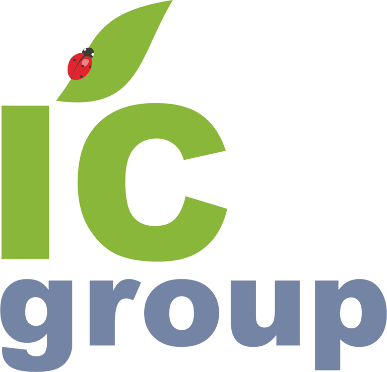 Главная страница - IC Group